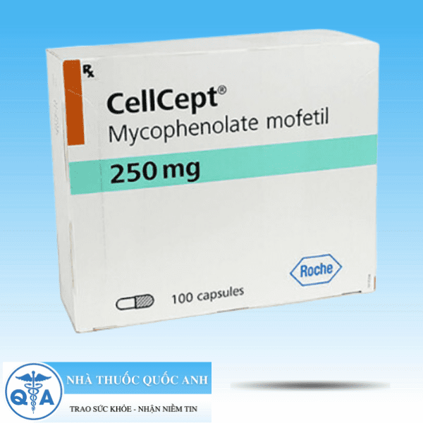 Cellcept 250mg dự phòng thải ghép cấp (hộp 10 vỉ x 10 viên) - Nhà Thuốc ...
