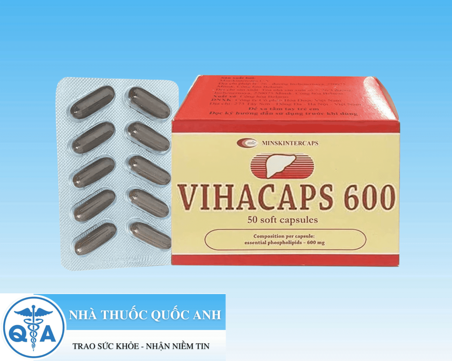 Vihacaps 600 - Hỗ trợ điều trị các bệnh lý về gan