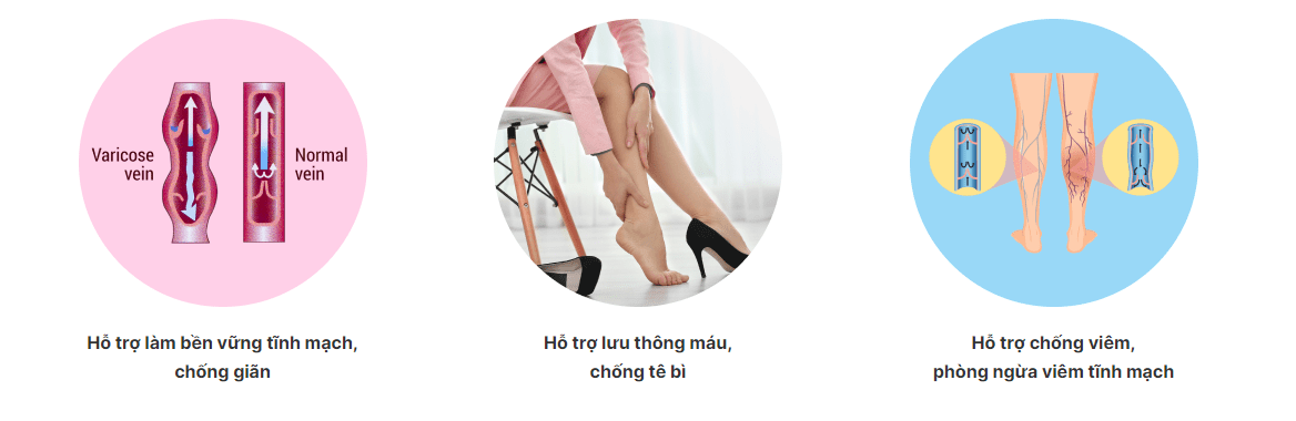 Viên uống Dulcit - Hỗ trợ điều trị giãn tĩnh mạch
